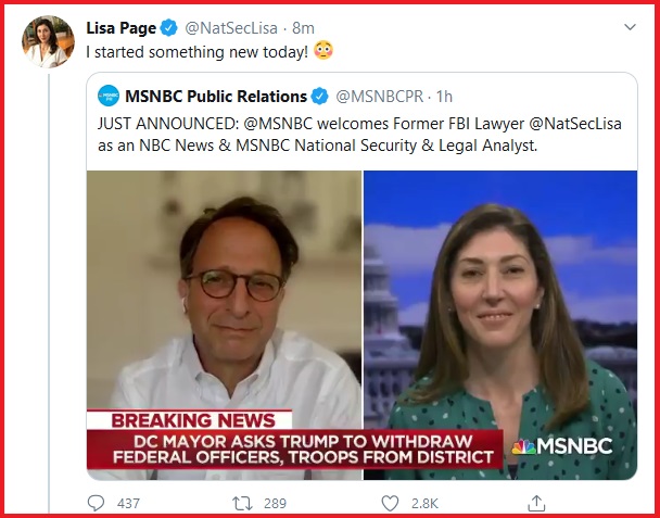 June 5, 2020 - Lisa Page debuts on MSNBC as a paid legal analyst - The ...